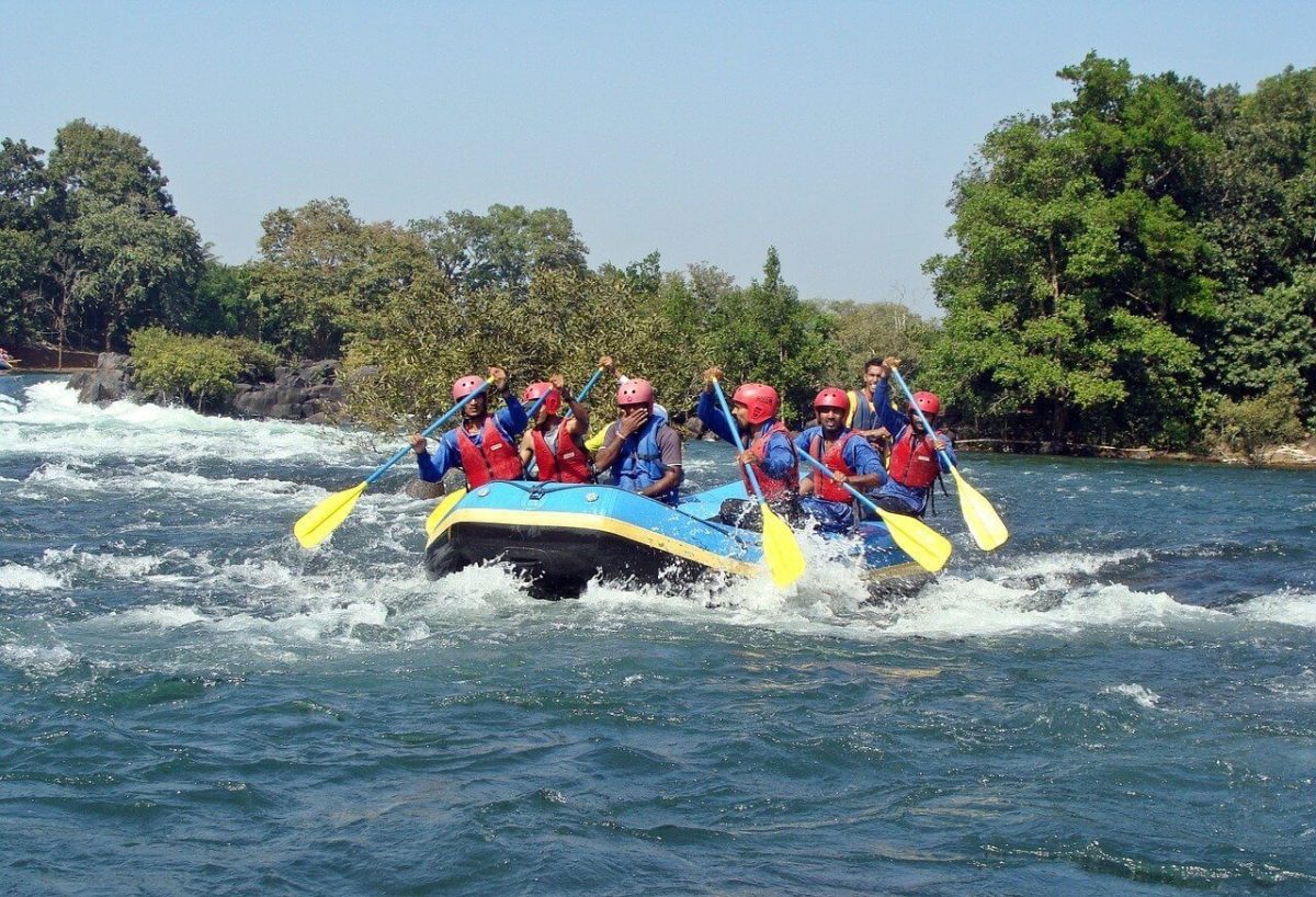 Wildernest Dandeli Resorts in karnataka | Dandeli Jungle Resort